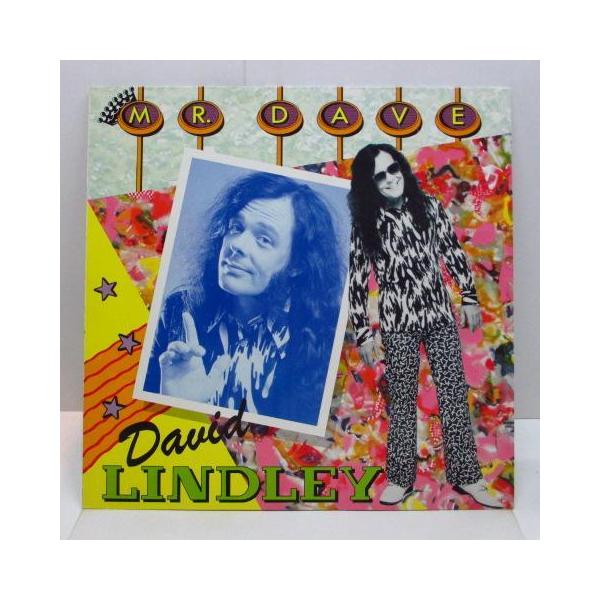 (GERMAN/Wea-252-161-1/'85 Orig.Color Logo White Label LP)  米大御所サイケデリック・バンド「カレイドスコープ」を率いた事でも知られる米大御所怪ロッカー「デヴィッド・リンドレイ」、'8...