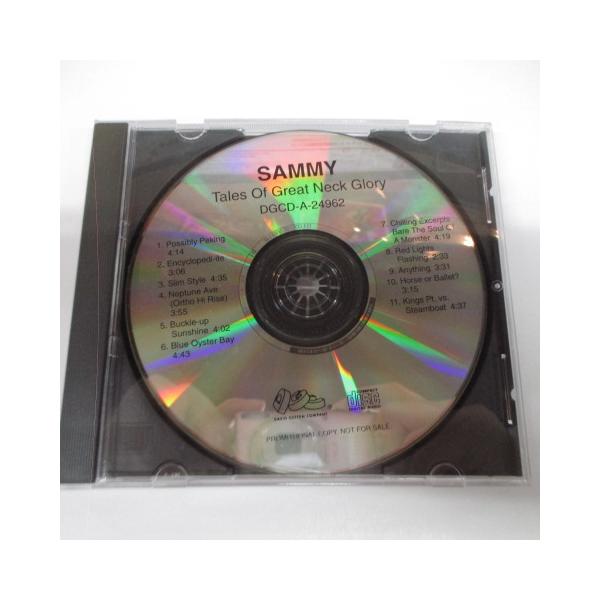 (US/DGC DGCD-A-24962/Promo.CD) GeffenやInterscopeでA&amp;Rとして働くLuke Woodと後にLaptopとして活躍するJesse Hartmanによるローファイ・インディロックデュオSa...