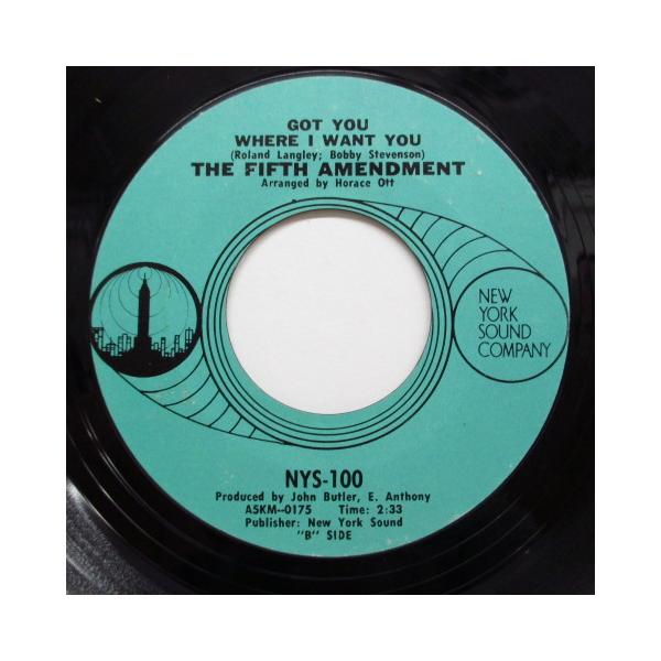 b/w Please Don't Leave Me Now (US/New York Sound Company-100/'71 Side Logo Light Blue Label 45)米マイナーSOULグループ「フィフス・アメンドメン...