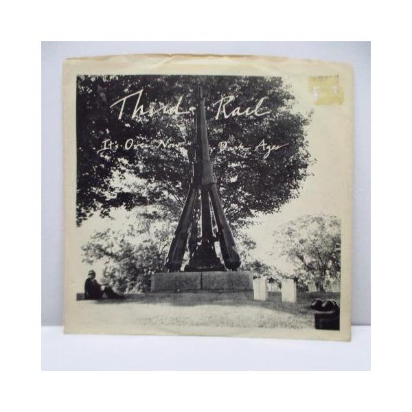 b/w 「Dark Ages」 (US/Spoonfed SR 4504 /78.Ltd.Brown Logo White Label Big Hole Centre Blue Vinyl 7"+PS) DMZ、REAL KIDS等と共に同...