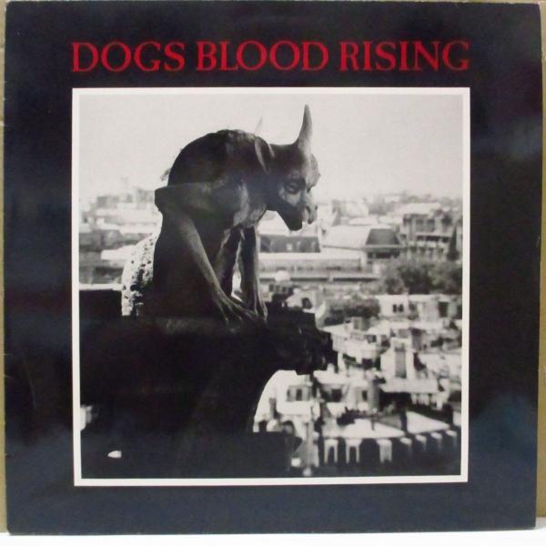 (Belgium/L.A.Y.L.A.H. LAY 8/'84 Orig.White Label LP+Insert)  鬼才デイヴィッド・ティベッツによるゴシック〜インダストリアル・ユニット「カレント93」の'84年2ndアルバム。参加メ...