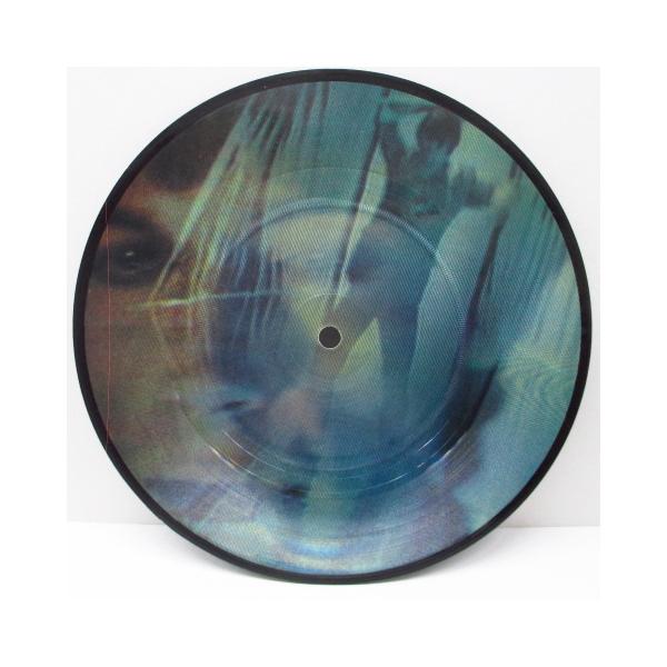 b/w 「Pretty Flamingo」 (UK/Arista  ARIPD 274 /79.Ltd.Picture 7"+PVC) ジェイムス・ウィリアムソンがプロデューサーを務め、イギー本人がソングライターとしての実力を覚醒させたアル...