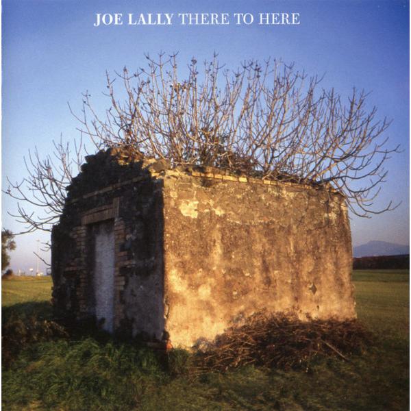 Fugazi?The Messtheticsのベーシストとして知られ、ソロとしての活動も活発に行う才人「ジョー・ラリー」の2006年1stアルバム。盟友Ian MacKayeやGuy Picciotto、The Delta 72?Hot S...