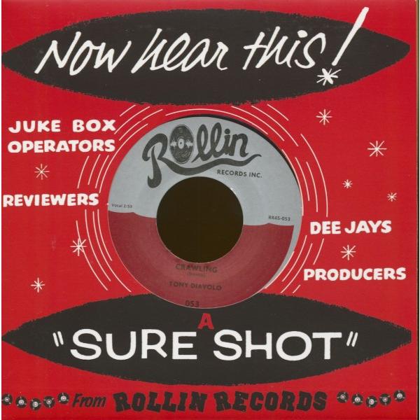 Voola &amp; The Jayhawks?The Savage Hornetsのギタリスト「トニー・ディアヴォロ」とサイコビリーバンドSkitzoのギタリストAnthony McVeyの息子である「ダニー・マクヴェイ」による2016...