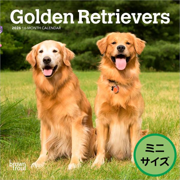 2026年版アメリカ・ブラウントラウト社製、ゴールデン・レトリーバーのミニカレンダーです。日本でも人気のイギリス原産の大型犬で、美しく金色に輝く毛並みが特徴です。賢さ及び忠誠心を兼ね備え、穏和な性格の犬種であるためペットとして広く愛好された...