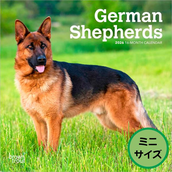 2026年版アメリカ・ブラウントラウト社製、ジャーマン・シェパードのミニカレンダーです。ドイツ原産の大型犬で日本では単にシェパードと呼ばれ、人気の犬種です。忠誠心が強く、我慢強い性格のため、なんでもできるユーティリティ・ドッグとして、警察犬...