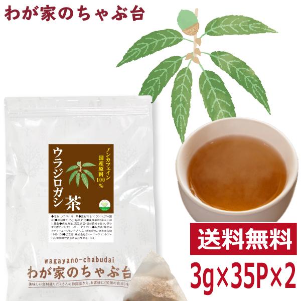 ウラジロガシとは、ブナ科の常緑広葉樹であり、葉の裏側が白い事からその名前が付けられました。 別名「排石茶」や「石おろし」と呼ばれ古くから親しまれてきた健康茶です。 厳選した国産原料を使用しています。■内容量：3g×35p×2袋■原材料・ウラ...