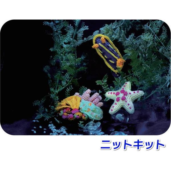 ●毛糸とテキストのキット販売ですおさかなのあみぐるみのニットキット（編みものキット）編み図付きの着分セットですレース糸の定番・エミーグランデで編む海洋生物の編みぐるみシリーズこちらはアオウミウシ、コブヒトデ、サンゴ礁のあみぐるみです３種類分...