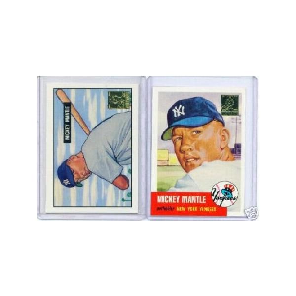 本商品は海外拠点に在庫がございます。お届けまで２〜３週間程度お時間を頂いております。なお、ご注文確定後のお客様都合のキャンセルは承ることはできません。予め、ご了承下さいませ。※法人様、研究機関様、教育機関様等のお客様へのお取引実績がございま...