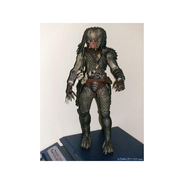 本商品は海外拠点に在庫がございます。お届けまで２〜３週間程度お時間を頂いております。なお、ご注文確定後のお客様都合のキャンセルは承ることはできません。予め、ご了承下さいませ。※法人様、研究機関様、教育機関様等のお客様へのお取引実績がございま...