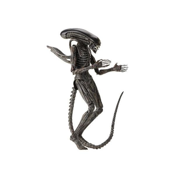 本商品は海外拠点に在庫がございます。到着目安は7〜12営業日（土・日・祝日は除きます）にて、送料無料でお届け致します。なお、輸送事情、税関事情によりまれに遅れる場合がございます。税関検査時に商品の開封検査を受ける場合がございますが、商品の品...