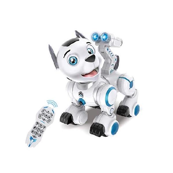 本商品は海外拠点に在庫がございます。お届けまで２〜３週間程度お時間を頂いております。なお、ご注文確定後のお客様都合のキャンセルは承ることはできません。予め、ご了承下さいませ。※法人様、研究機関様、教育機関様等のお客様へのお取引実績がございま...