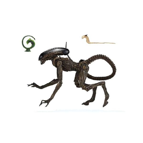 本商品は海外拠点に在庫がございます。お届けまで２〜３週間程度お時間を頂いております。なお、ご注文確定後のお客様都合のキャンセルは承ることはできません。予め、ご了承下さいませ。※法人様、研究機関様、教育機関様等のお客様へのお取引実績がございま...