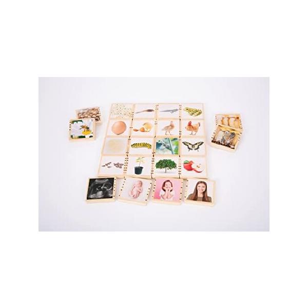 本商品は海外拠点に在庫がございます。到着目安は7〜12営業日（土・日・祝日は除きます）にて、送料無料でお届け致します。なお、輸送事情、税関事情によりまれに遅れる場合がございます。税関検査時に商品の開封検査を受ける場合がございますが、商品の品...