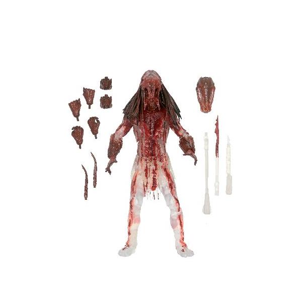 本商品は海外拠点に在庫がございます。お届けまで２〜３週間程度お時間を頂いております。なお、ご注文確定後のお客様都合のキャンセルは承ることはできません。予め、ご了承下さいませ。※法人様、研究機関様、教育機関様等のお客様へのお取引実績がございま...