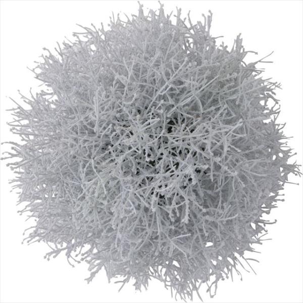 東谷 あづまや  【4985155200320】 LFS-902C フェイクグリーン ボールSカラー：ホワイトサイズ(cm)：直径 約25小箱入：小箱無スペック：ポリエチレン組立：完成品付属工具：なしお客様用意：なし組立人数：なし組立時間：...