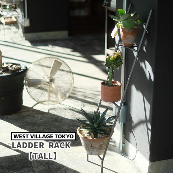 【在庫目安:わずか】【送料無料(北海道・沖縄・離島など除く)】DIY・ガーデニング