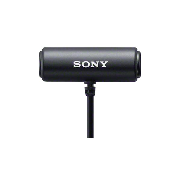 【お取り寄せ商品(納期は別途回答)】家電ソニーサブコード:ECMLV1