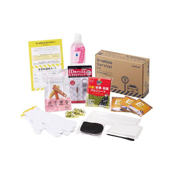 【お取り寄せ商品(納期は別途回答)】防犯・防災・セキュリティキングジムサブコード:SYS200