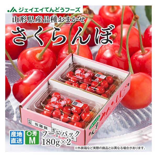 【発売日：2026年06月10日】◆発送時期のご案内6月中旬頃より出荷予定です。生育状況に応じて出荷時期が前後する場合があります。（注）お届け日指定不可◆納品明細書・領収書誠に恐れ入りますが、原則として省略させて頂きます。生ものですので、早...