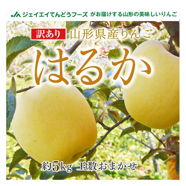 ◆商品の出荷時期12月上旬〜中旬ころより順次出荷予定お届け日の指定はお受けできませんので、ご了承ください。◆納品明細書・領収書誠に恐れ入りますが、省略させて頂きます。◆一部地域への追加送料九州・沖縄へのお届けの場合、追加送料を頂いております...