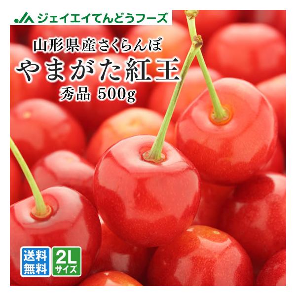 【発売日：2026年06月15日】◆発送時期のご案内6月中旬頃より出荷予定です。生育状況に応じて出荷時期が前後する場合があります。（注）お届け日指定不可◆納品明細書・領収書誠に恐れ入りますが、原則として省略させて頂きます。◆ご注意生ものです...