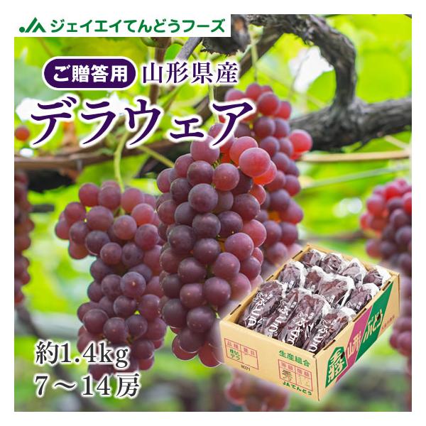 【発売日：2026年07月20日】◆発送時期のご案内7月中旬ころより仕入れ状況整い次第、順次出荷開始の予定です。生育状況に応じて出荷時期が前後する場合があります。（注）お届け日指定不可◆納品明細書・領収書誠に恐れ入りますが、原則として省略さ...