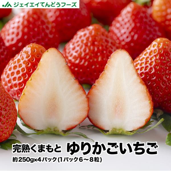 完熟くまもとゆりかごいちご約250g×4パック1パック6〜8粒入り！大粒でお届け！お届け品種は、熊本県オリジナル品種【ゆうべに】【恋みのり】【さがほのか】などその時においしいものを農家さんに厳選してもらいお届けします！1パック6〜8粒入りの...