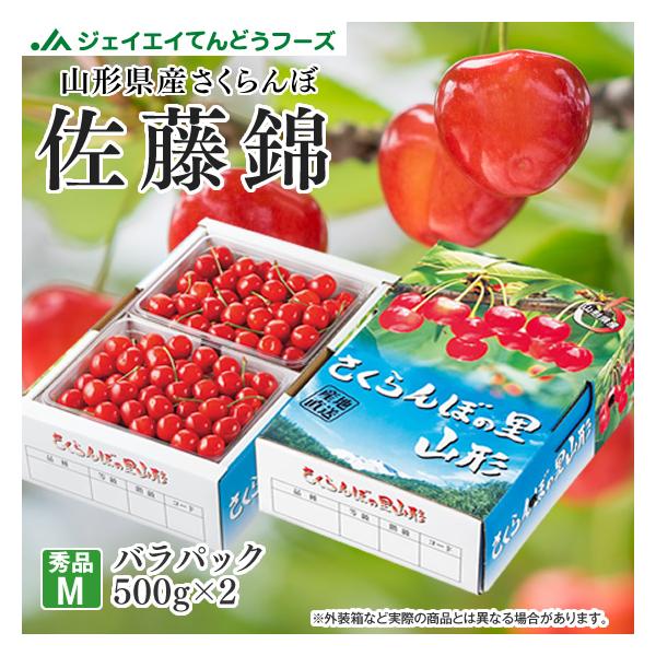 【発売日：2026年06月15日】◆発送時期のご案内弊社から≪6月中旬〜下旬頃≫出荷の予定です。生育状況に応じて出荷時期が前後する場合があります。（注）お届け日指定不可◆納品明細書・領収書誠に恐れ入りますが、原則として省略させて頂きます。生...