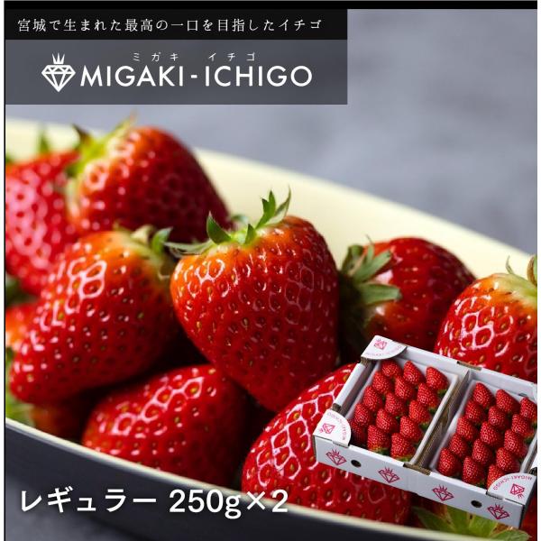 山形県の特産品を販売しておりましたジェイエイてんどうフーズでしたが、この度宮城県産の【ミガキイチゴ】の取り扱いを始めました。一粒に磨き輝く感動を込めて。産地直送でお届けいたします。------------------------------...