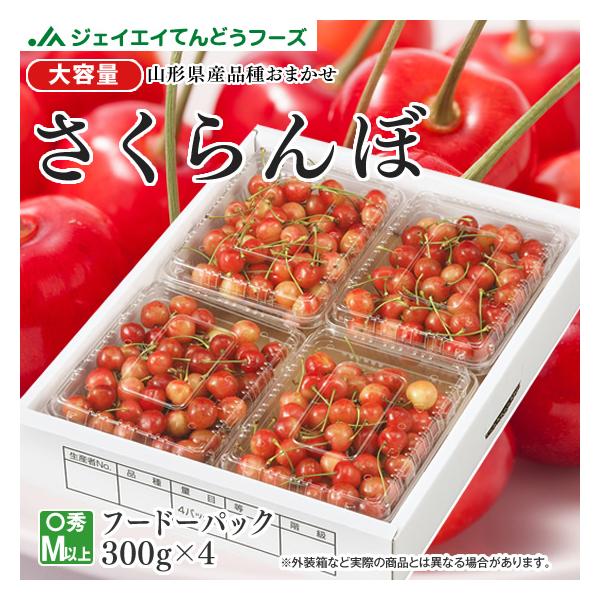 【発売日：2026年06月10日】◆発送時期のご案内弊社から≪６月上旬〜中旬≫に出荷の予定です。生育状況に応じて出荷時期が前後する場合があります。（注）お届け日指定不可◆納品明細書・領収書誠に恐れ入りますが、原則として省略させて頂きます。生...