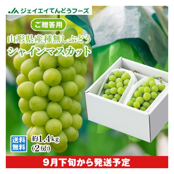 【発売日：2026年09月25日】◆発送時期のご案内弊社から9月中旬〜下旬に順次出荷の予定です。生育状況に応じて出荷時期が前後する場合があります。（注）お届け日指定不可◆納品明細書・領収書誠に恐れ入りますが、原則として省略させて頂きます。生...