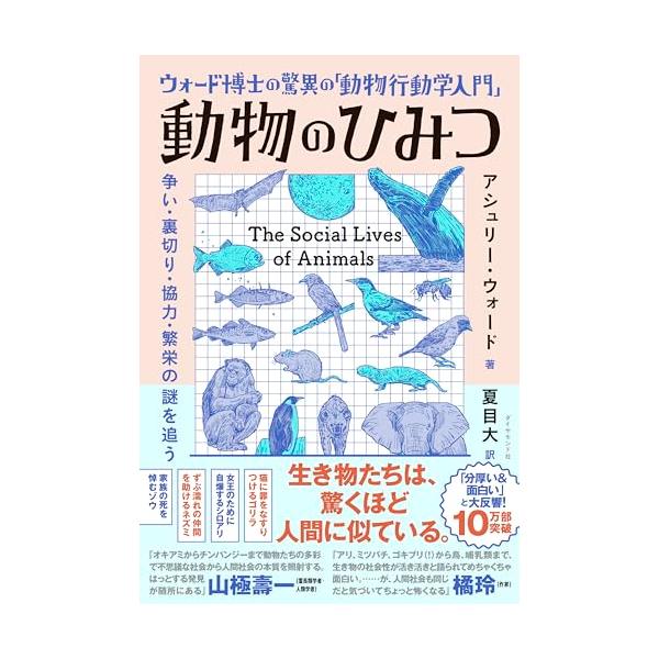 売れてます SNSでも話題の本累計13万部突破 総合1位（2025/11/8、2024/6/14-6/15） SNSの投稿が大反響「この本、むっちゃ面白いから毎日気晴らしに少しずつ読んでるんだけど、一番驚くのが700ページ超で本体2000円...