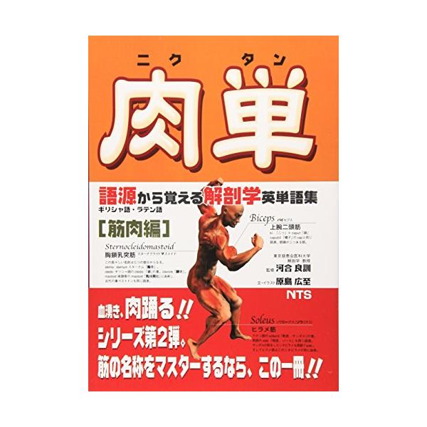 パッケージ個数:1