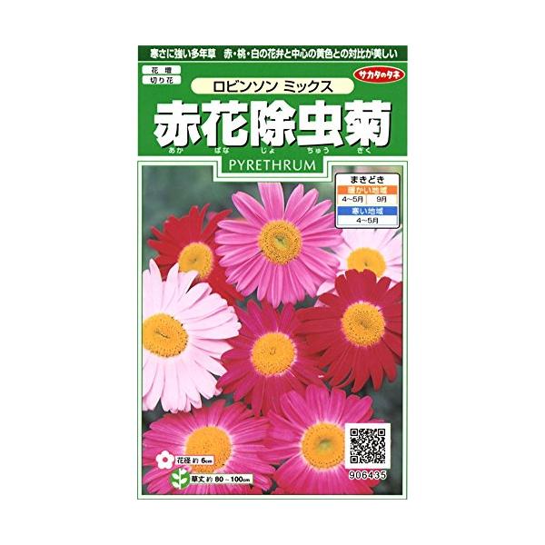 赤花除虫菊赤/1ml/00906435・Size:1ml・パッケージ個数:1・詰量:1ml・発芽率:65%・採苗本数:80・まきどき:春・秋