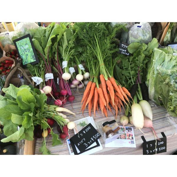 山口県の山奥で、小さな農場を営んでいる、てのたのです。一年を通じて色々な野菜を育ててます。春は苦み、夏は水分、秋はでんぷん、冬は甘みの多い野菜たちを楽しんでいただけると嬉しいです。自分の食いしん坊という能力を利用して、毎回収穫しながら野菜を...