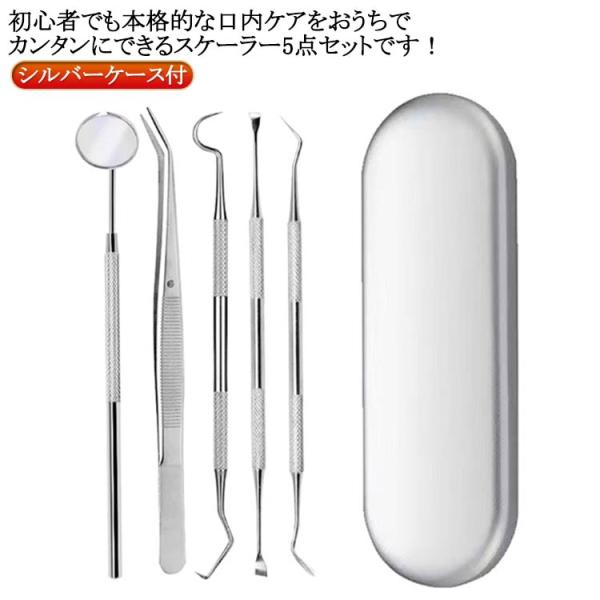 セット内容：収納ケース×1・鎌型ツール×2 かき出し棒×1・ピンセット×1・歯用ミラー×1