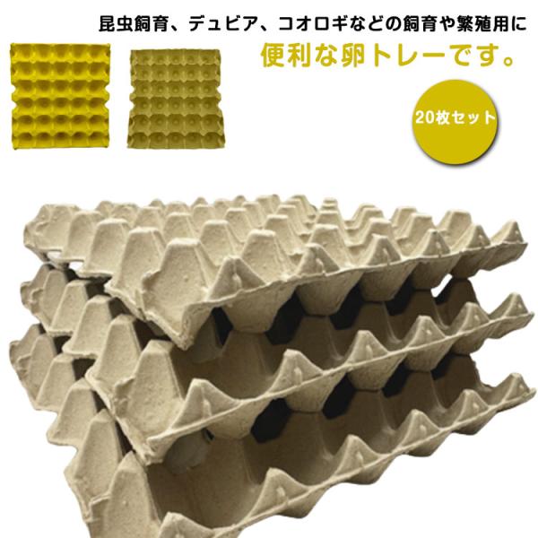 20枚セット