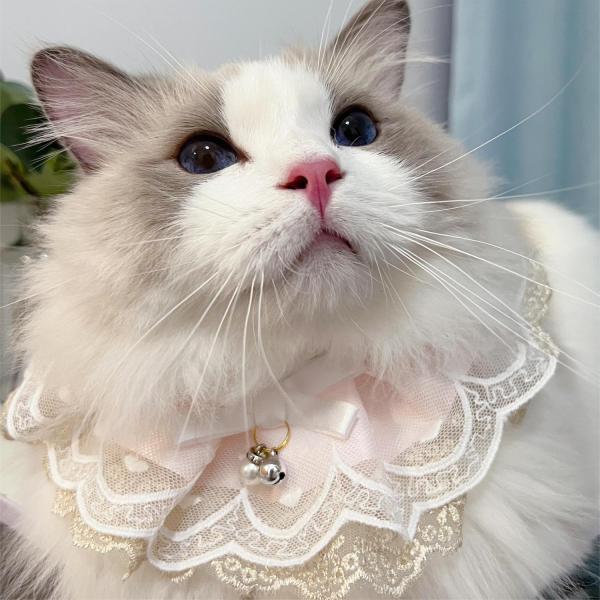 商品名:ペット用首輪 スカーフ 胴輪 よだれかけ キャットスタイ ドッグスタイ 蝶ネクタ レーススタイ 花柄 かわいい おしゃれ キュート 犬用品 猫用品                            商品説明:ペット用首輪 胴輪 ...