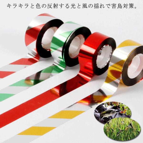 幅約2.5cmｘ長さ約100m