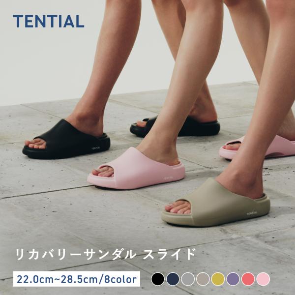 【発売日：2026年02月17日】