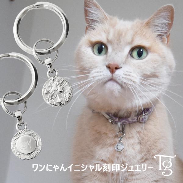 イニシャル タグ 刻印 ステンレス ハワイアン コインモチーフ リバーシブル ネームタグ ドッグタグ ペットタグ 犬 猫 二重カン テラグラティア Terra-gratia ワンちゃん ネコちゃん ハワイアンジュエリー 錆びにくいステンレス...