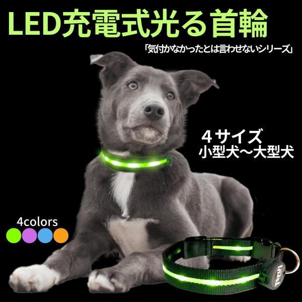 【発売日：2021年10月11日】商品名　TERUI Lights 気付かなかったとは言わせないシリーズ LED充電式光る首輪カラー　全4色　 キミドリ オレンジ ブルー ムラサキサイズ 　４サイズ（XSサイズ、Sサイズ、Mサイズ、Lサイズ...