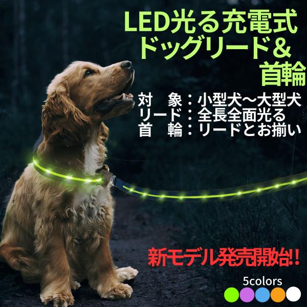 【発売日：2021年10月11日】商品名：TERUI Lights 気付かなかったとは言わせないシリーズ LED充電式光るドッグリード＆首輪セット＜リード＞カラー： 全5色  キミドリ、オレンジ、ブルー、ムラサキ、ソフトレインボーサイズ 重...