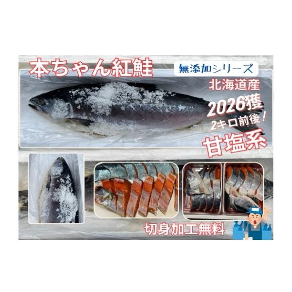 本ちゃん紅鮭2,0キロ（北海道産）2026年新物　甘塩系北海道産紅鮭入荷！！2026年物です。南千島産が禁漁となり漁獲が減り大変希少となります北海道沖産で入荷致しました賞味期限は2028年４月塩加減は中塩です（甘塩系）紅鮭の中でも特に美味し...