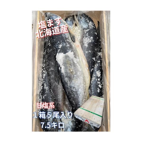 塩ます(北海道産）7.5キロ箱 2025年物　未開封発送　本年当店最大サイズ業務用木箱又はダンボール箱１箱に1尾1,５キロ前後の塩ますが５本入っております塩加減は甘塩です。お得業務用です