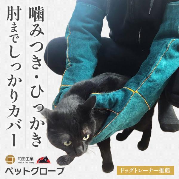 【高品質で丈夫な牛革素材を使用】しなやかで耐傷性・耐久性にも優れ、手や腕の動きにしっかりフィット。丈夫さと扱いやすさを兼ね備えた、長く安心して使える素材です。【厚手の生地で腕をしっかり保護】厚みのある牛革が、噛みつきやひっかきから腕をしっか...