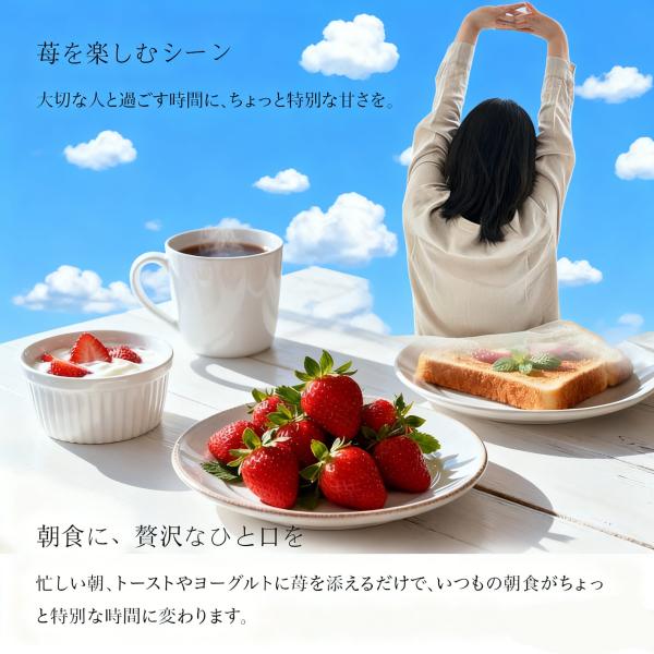 【栃木山泉水栽培 とちあいか限定セット】福澤農園直送 アイカいちご（AIKA） 1月発送予約 ｜ 贈答用にも最適な高品質いちご1.内容量:1ケース（4パック入り・合計約1kg）2.品種:（いちごとちあいか）AIKA3.産地:福澤農園（日本・...