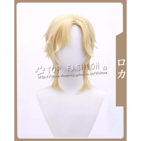 ◆新品未使用◆セット内容：ウィッグ