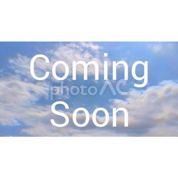 TOTOTH15626　2個セット旧品番 15626N　水石けん入れ　 バルブ 　シートペーパー　水石鹸液